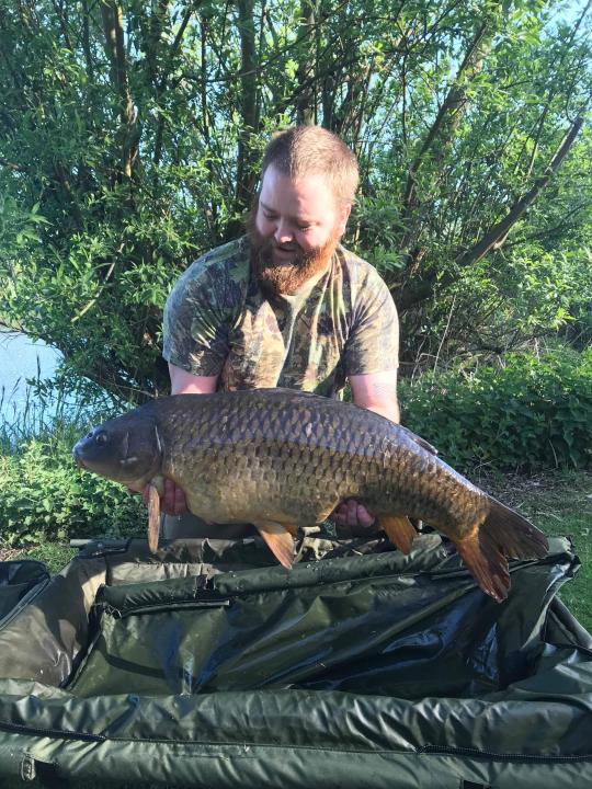 PB Common Carp | Total Carp